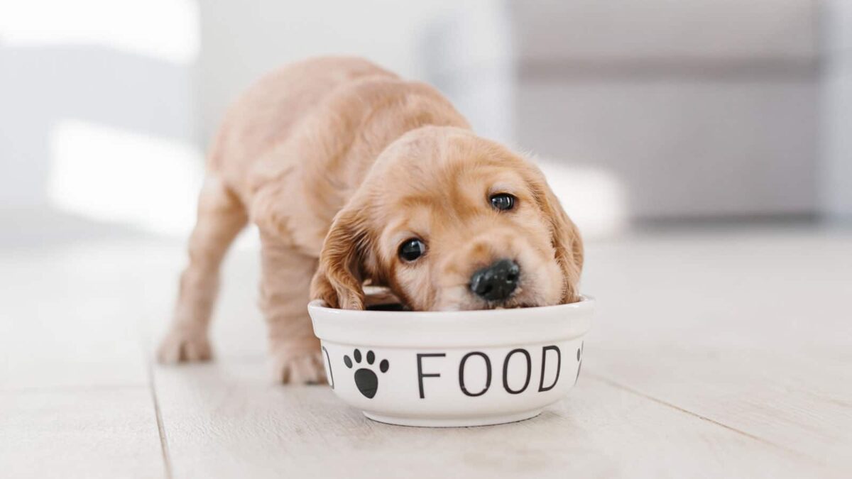 How To Use A Natural Disinfectant In The Germiest Places In Your Home